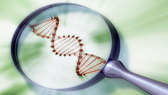 Principles for prevention and treatment of PCR contamination in nucleic ...