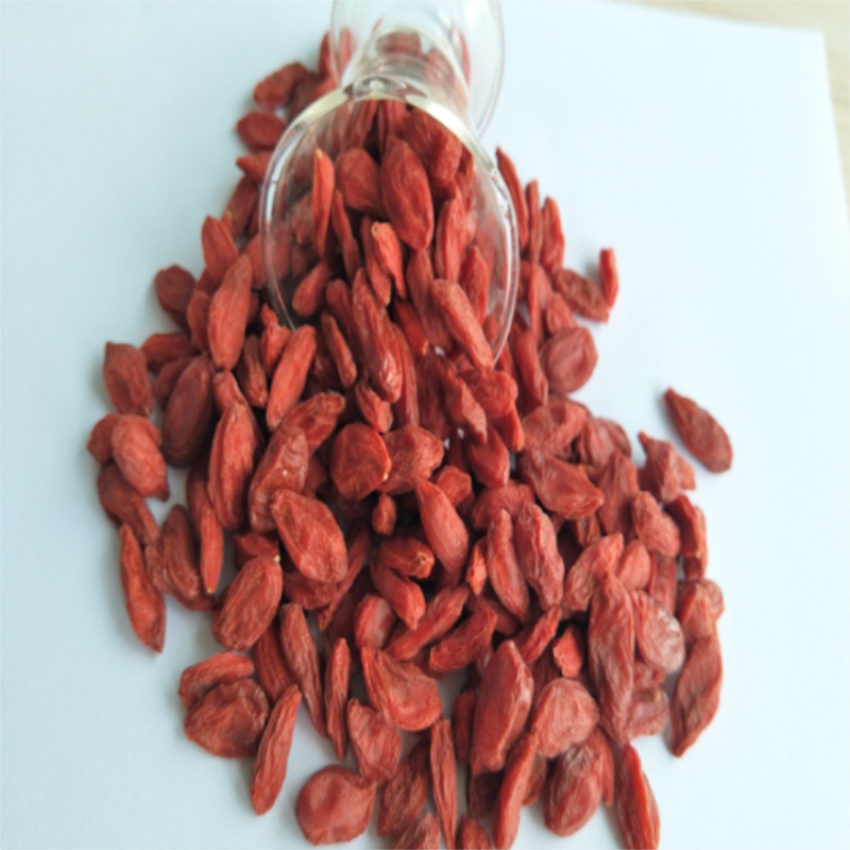 Export Ningxia Certified Dried goji berry/wolfberry China Manufacturer