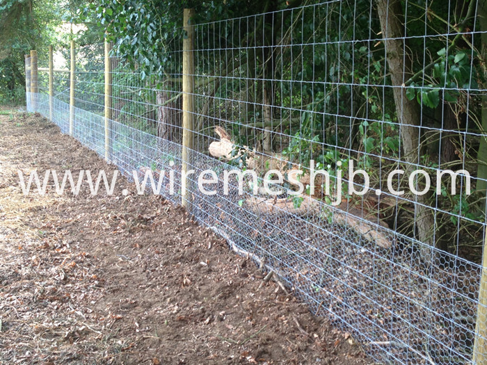 High Tensile Woven Wire Sheep Fence China Manufacturer
