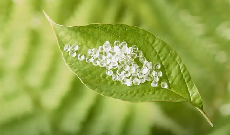 Why Choose PLA Filament for Your Next 3D Print Project?