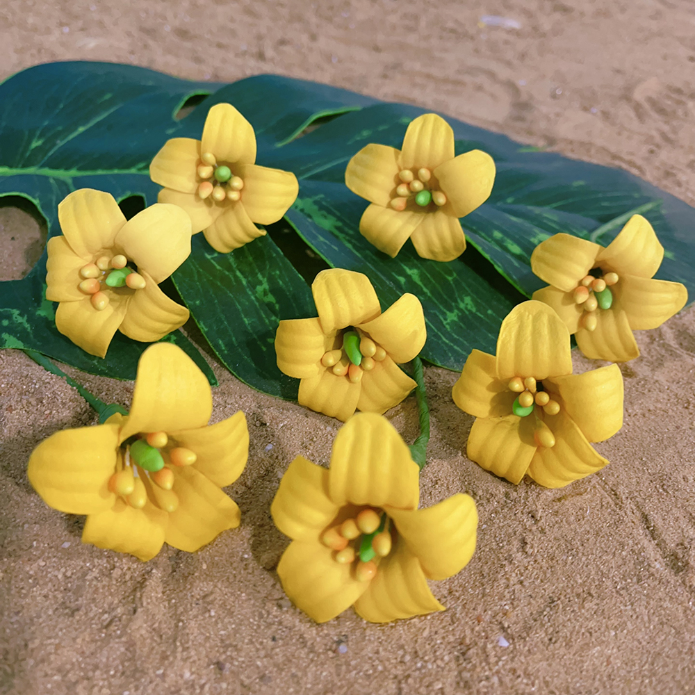 China Foam Puakenikeni, Foam Fagraea berteriana,Foam Pua Kenikeni Supplier