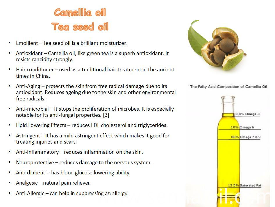 edible cooking oil camellia oil Tea seed oil China Manufacturer