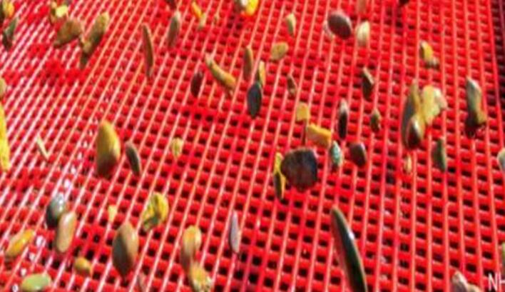 Vibrating Screen Panel-Unleash the Power of Precision Screening