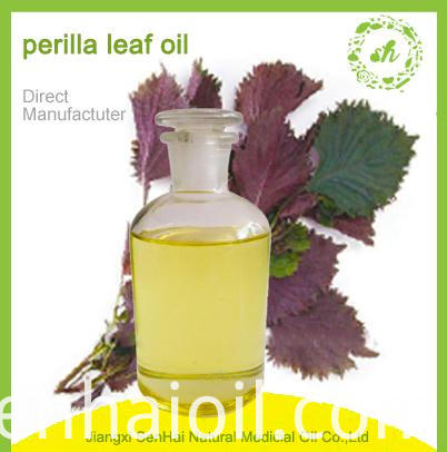 100% Pure Natural Perilla Leaf Oil China Manufacturer