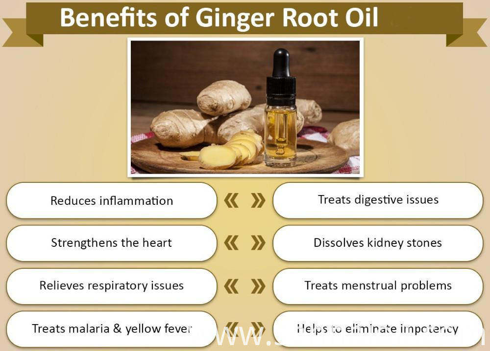 Food Grade Fresh Ginger 99% Pure Ginger Oil China Manufacturer